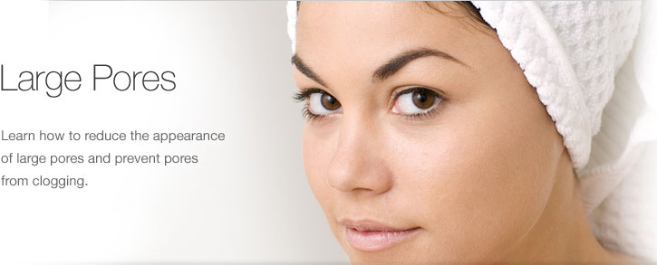 The truth about your pores – Touch of Europe Day Spa